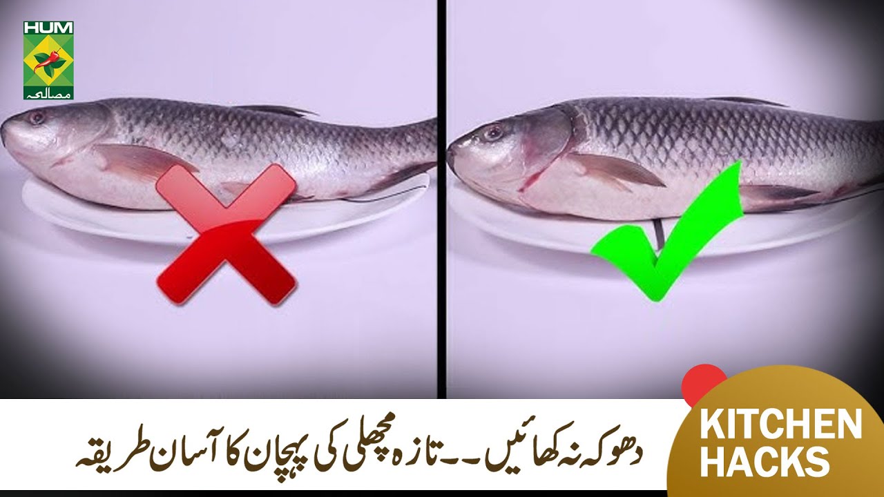 How to Check Fish is Fresh or Not | Best Tips To Buy Fish | Taza Machli ...
