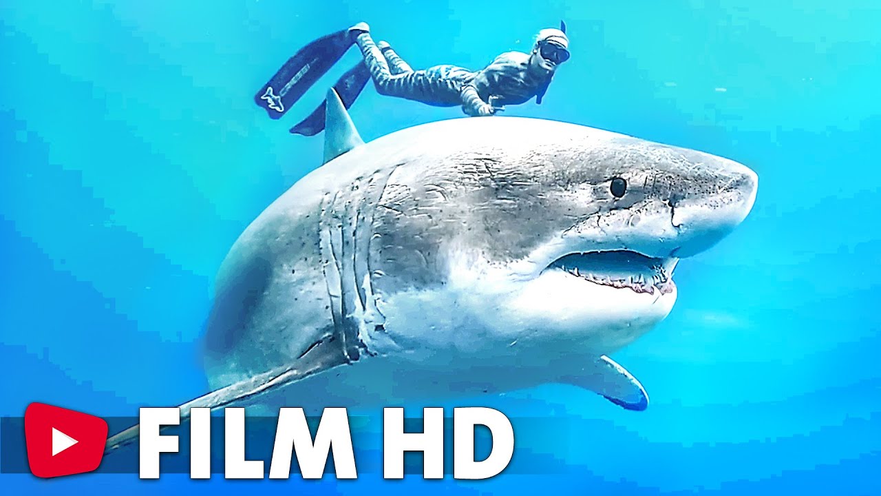 🔥 Shark Menace | Film Documentaire Complet en Français - YouTube