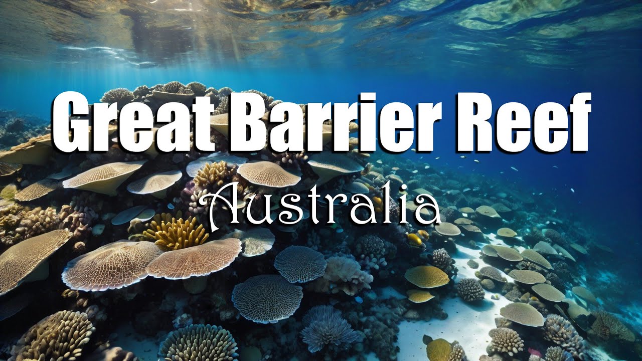 Wonders of the Great Barrier Reef, Australia - YouTube