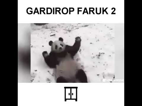 gardrop faruk 2