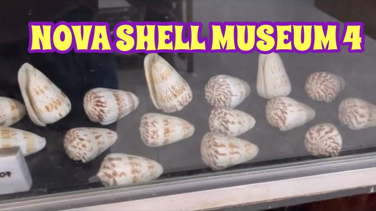 68 BOHOL: NOVA SHELL MUSEUM 4 of 4 #benangelmhitzmacabidang #foryou # ...