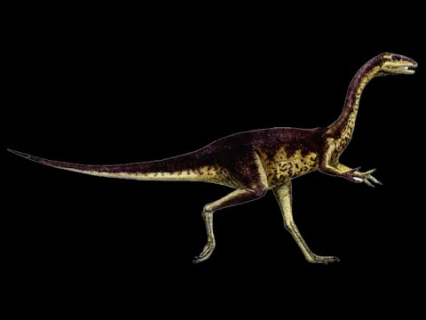 Elaphrosaurus - YouTube