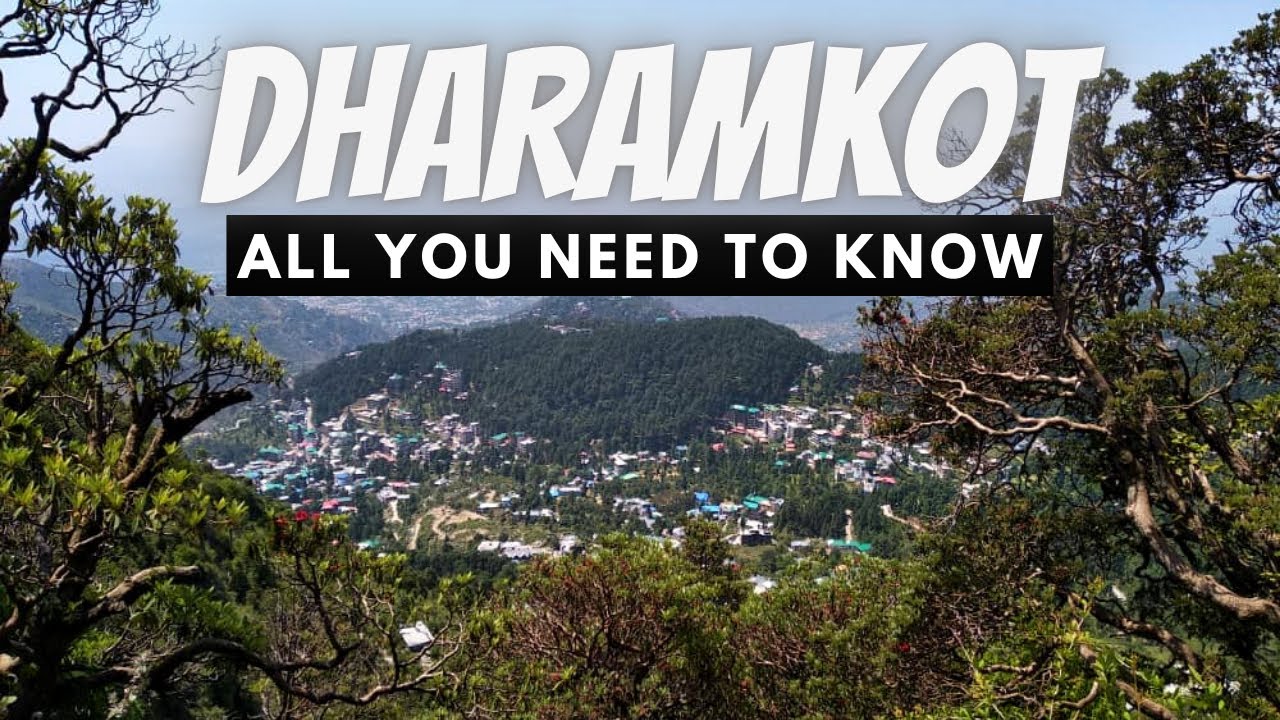 EVERYTHING YOU NEED TO KNOW - Trip to Dharamkot - Part 2 - Spiritual ...