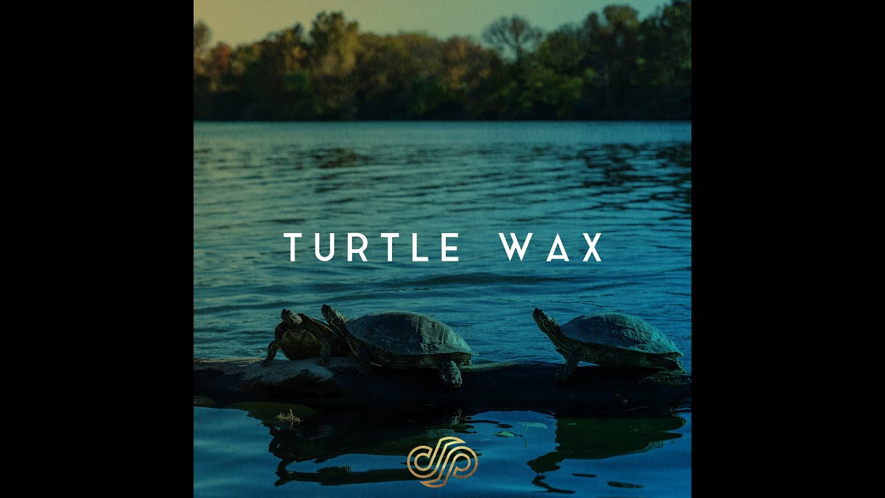 Free Sainte Type Beat | "Turtle Wax" (Prod. Damien Produces) - YouTube