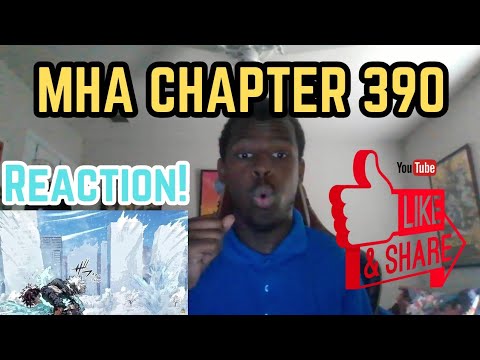 THE END OF THE TODOROKI FAMILY PLOTLINE MHA CHAPTER 390 REACTION - YouTube