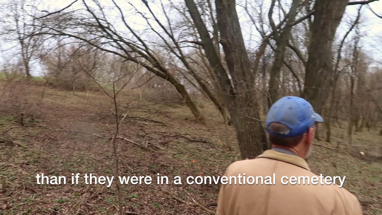 Natural Path Sanctuary - YouTube