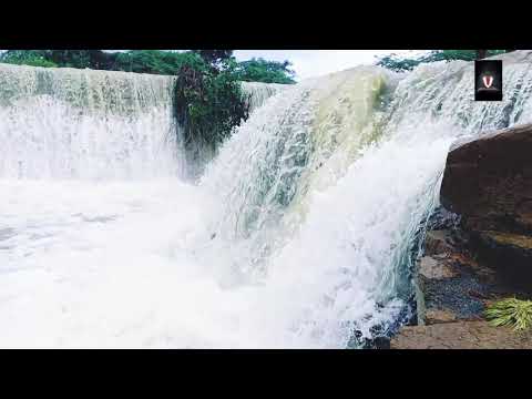Dindi Project 2020 || E gaali E Nela Song || Friends Youth - YouTube