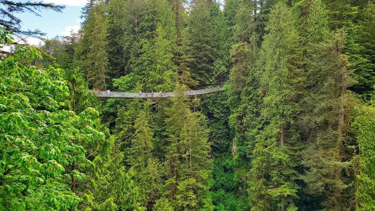 Capilano Suspension Bridge Park Tour | Walking trough the park| Treetop ...