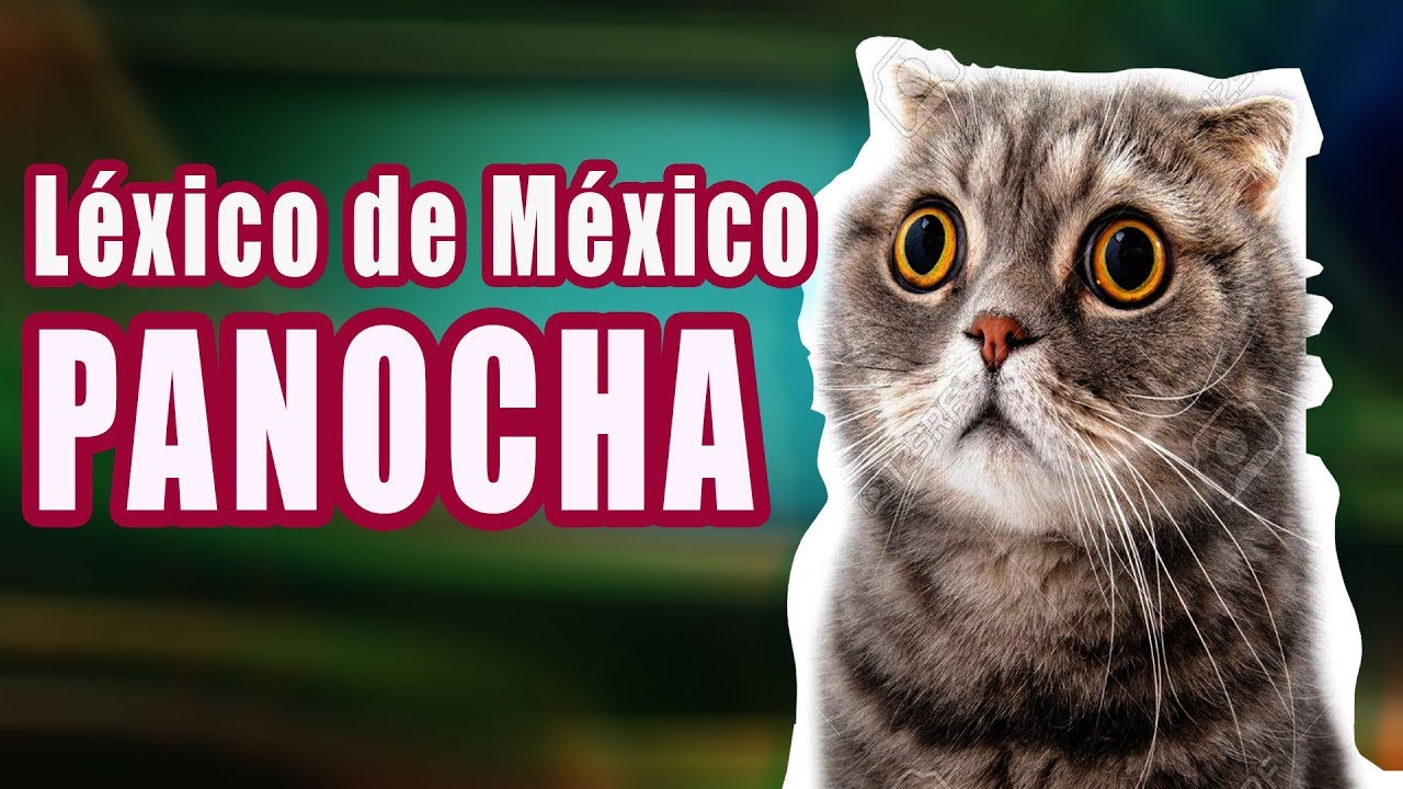 Léxico de México PANOCHA - YouTube