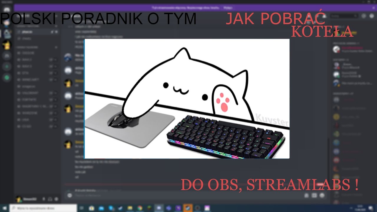 JAK POBRAĆ I USTAWIĆ BONGO CAT v2 ! *OBS* *STREAMLABS* - YouTube