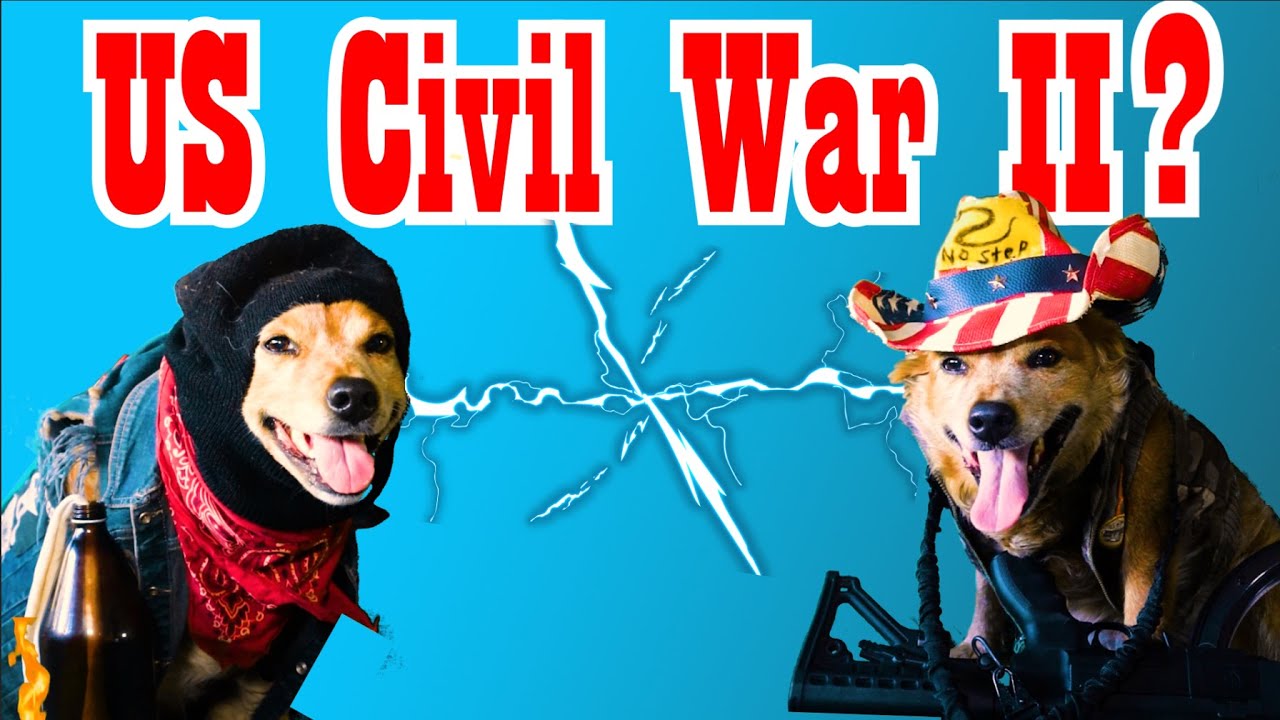 How Civil Wars Start and How to Stop Them by Barbara F. Walters Review - Radical Reviewer - YouTube