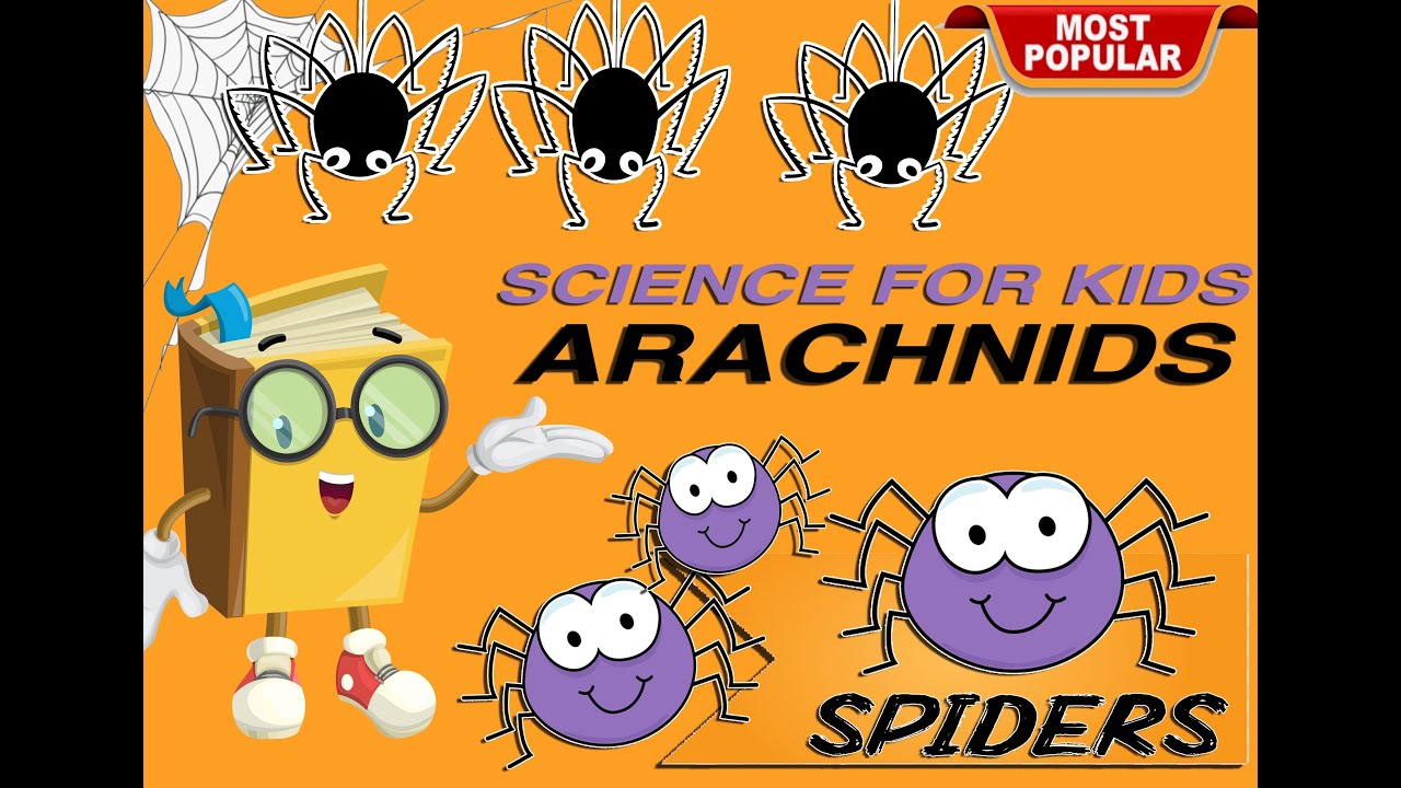 Children Audio Book | Science for kids | Arachnids | Spiders - YouTube