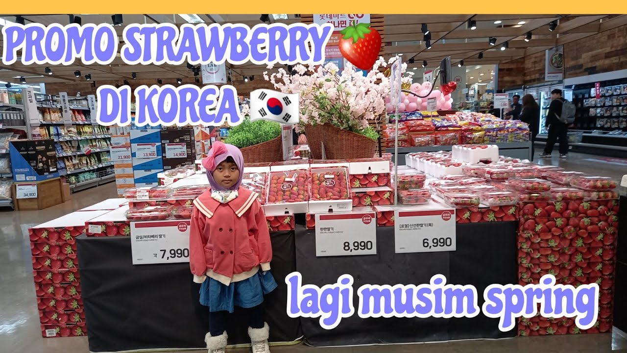 BERAPA HARGA STRAWBERRY 🍓 DI KOREA 🇰🇷? STRAWBERRY NYA SUPER MANISS # ...