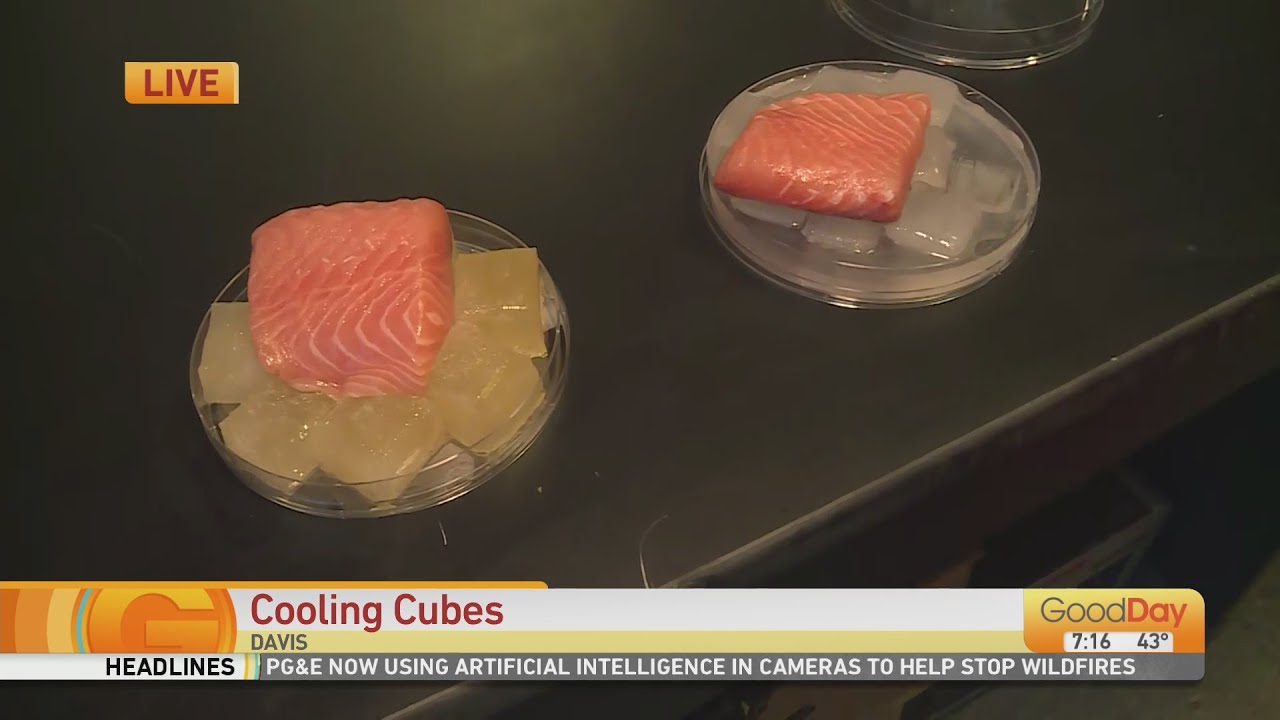 Non Melting Ice Cubes - YouTube