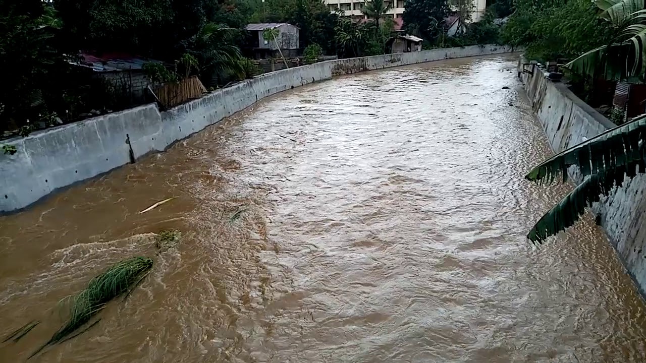 mango bridge - YouTube