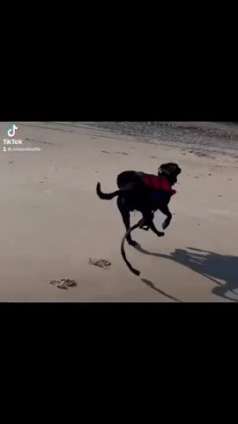 Cooper Crash 2021 - YouTube