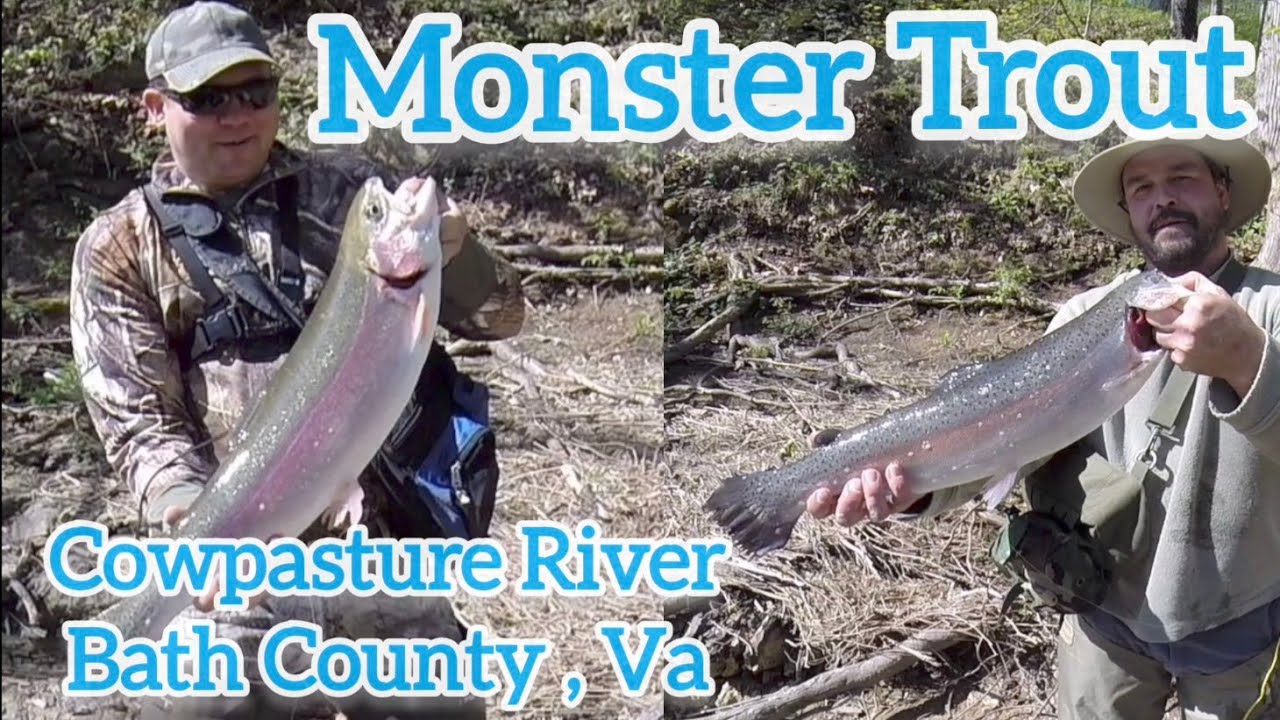 MONSTER RAINBOW TROUT Using Berkeley GULPS The Cowpasture River Bath ...