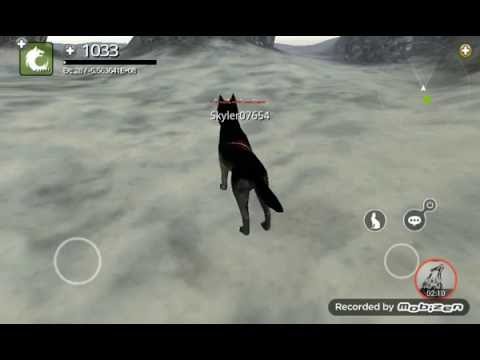 How To Hack Wolf Online To Level 29999 [Root needed] - YouTube