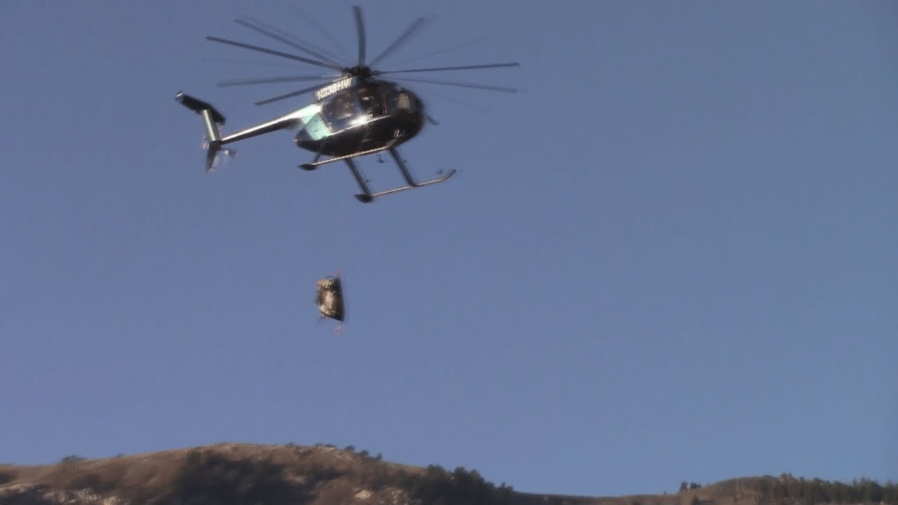 In Search of Flying Goats - YouTube