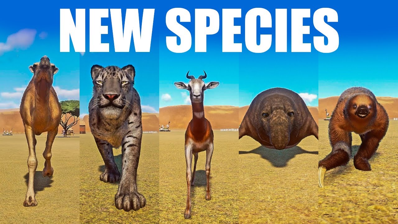 New Species Animals Speed Races in Planet Zoo included Sloth, Elephant ...