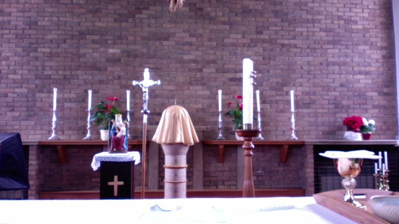 First Friday Holy Mass + Sacred Heart novena - YouTube