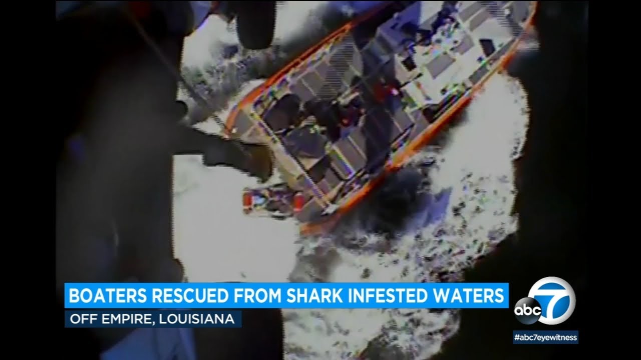 Boaters rescued from shark-infested waters off Louisiana coast - YouTube