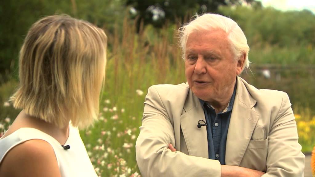 Sir David Attenborough's plea to save the butterfly - YouTube