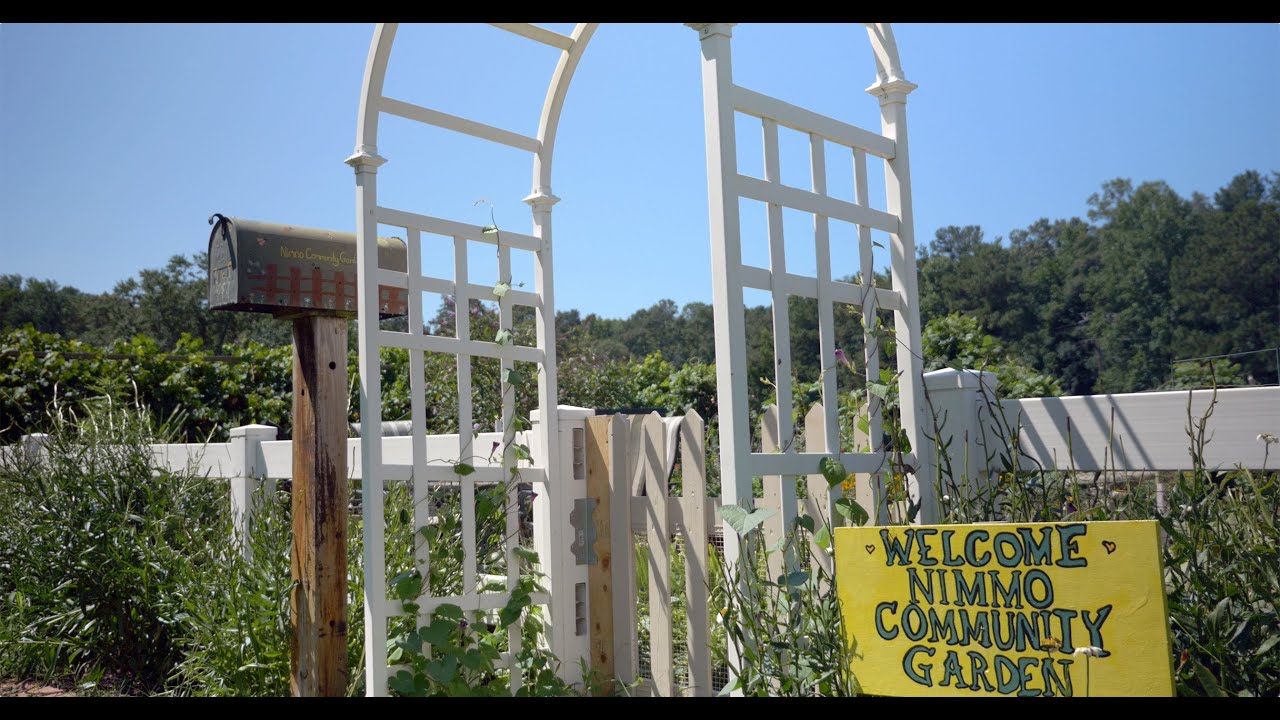 Nimmo Community Garden in Virginia Beach, VA - YouTube