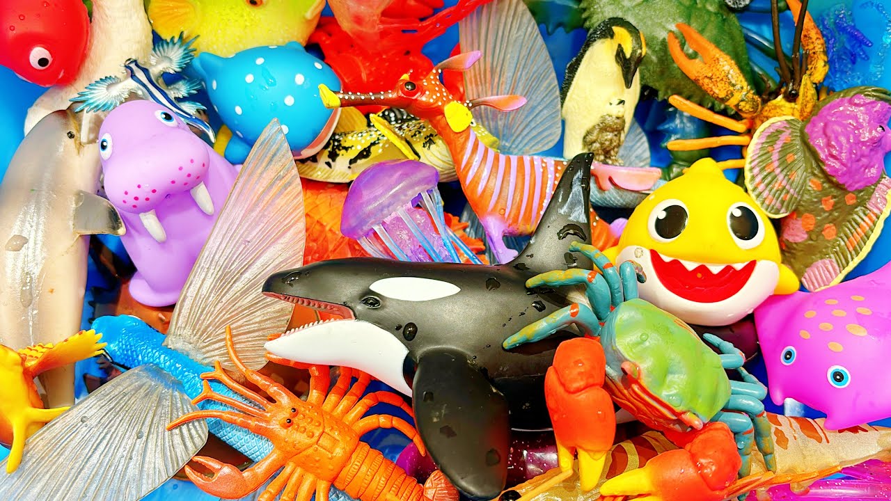 Ocean Adventure: Meet the Coolest Sea Creatures! I Sea Animals For Kids ...