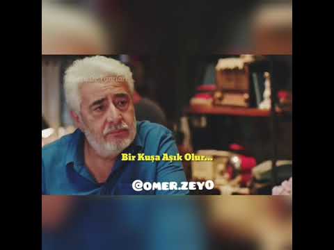 BALIK VE KUŞUN BÜYÜK AŞKI (İMKANSIZ AŞKLARIN ÜLKESİ BURASI)