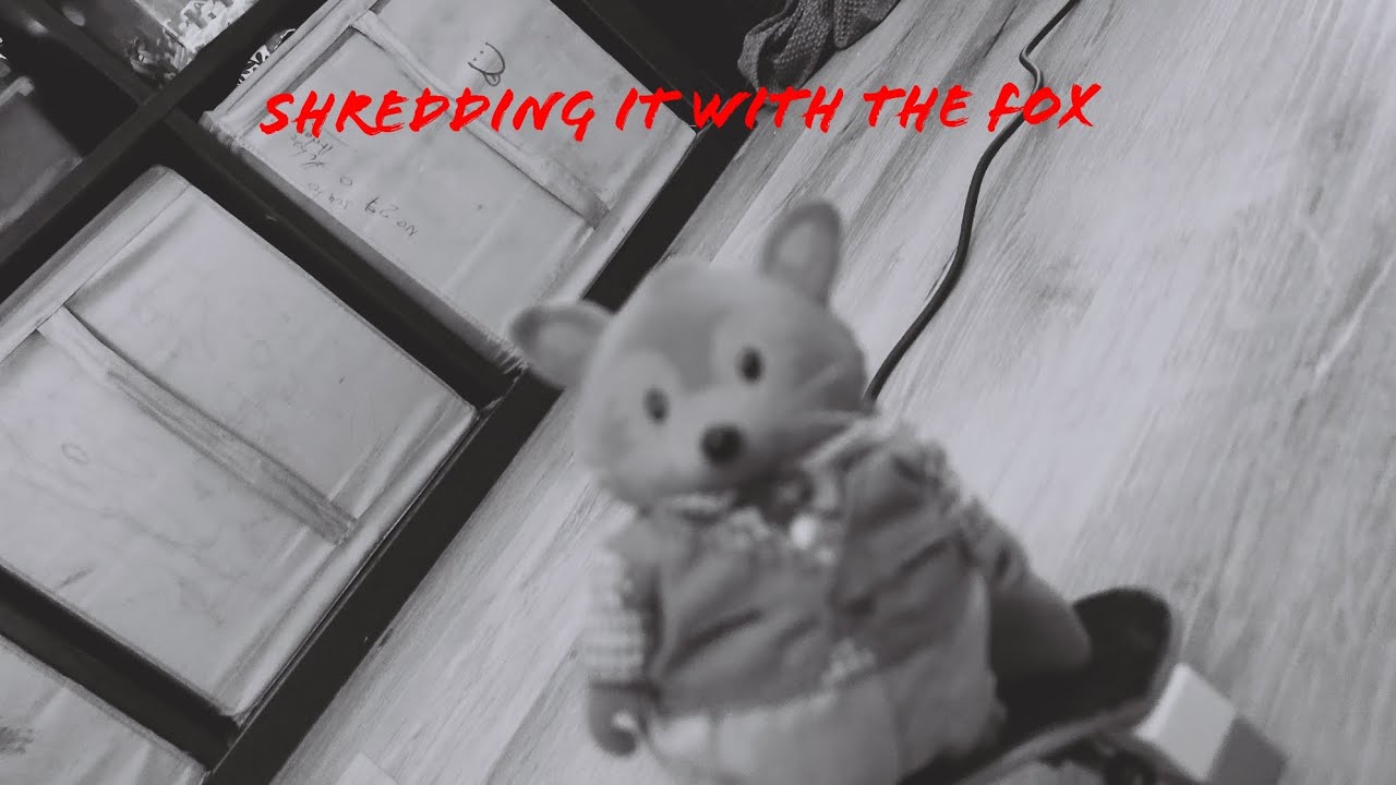 shredding it with the fox - YouTube