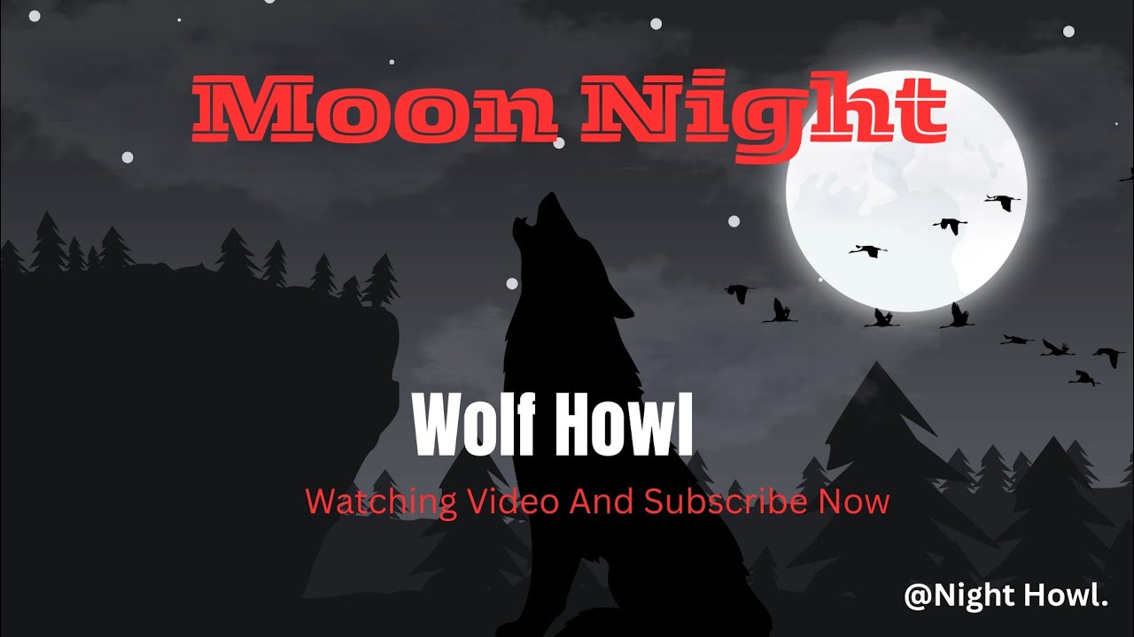 Worldwide Howl at the Moon Night 🌕🐺 | Wolves Howling at the #WolfSpirit ...