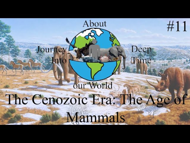 Cenozoic Era Life