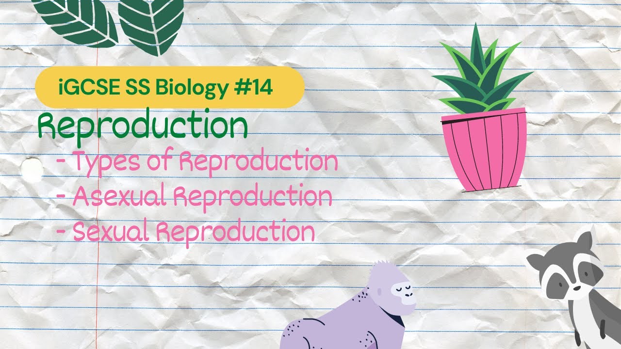 Reproduction | iGCSE SS Bio #14 - YouTube