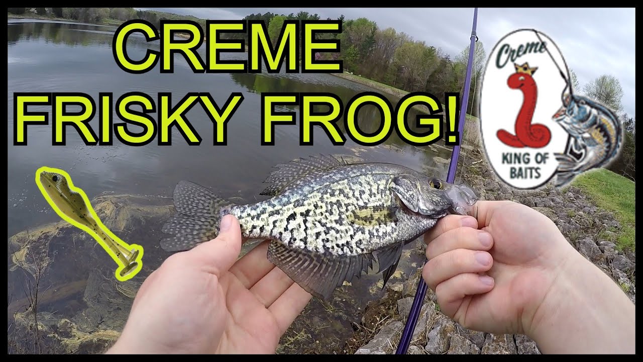Creme Lures Frisky Frog is amazing for mutli-species fishing! - YouTube