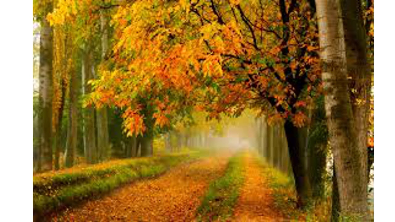 Falling Leaves Lyrics By Melv Henighan Keyboards And Arrangements By falling-leaves-lyrics-by-melv-henighan-keyboards-and-arrangements-by