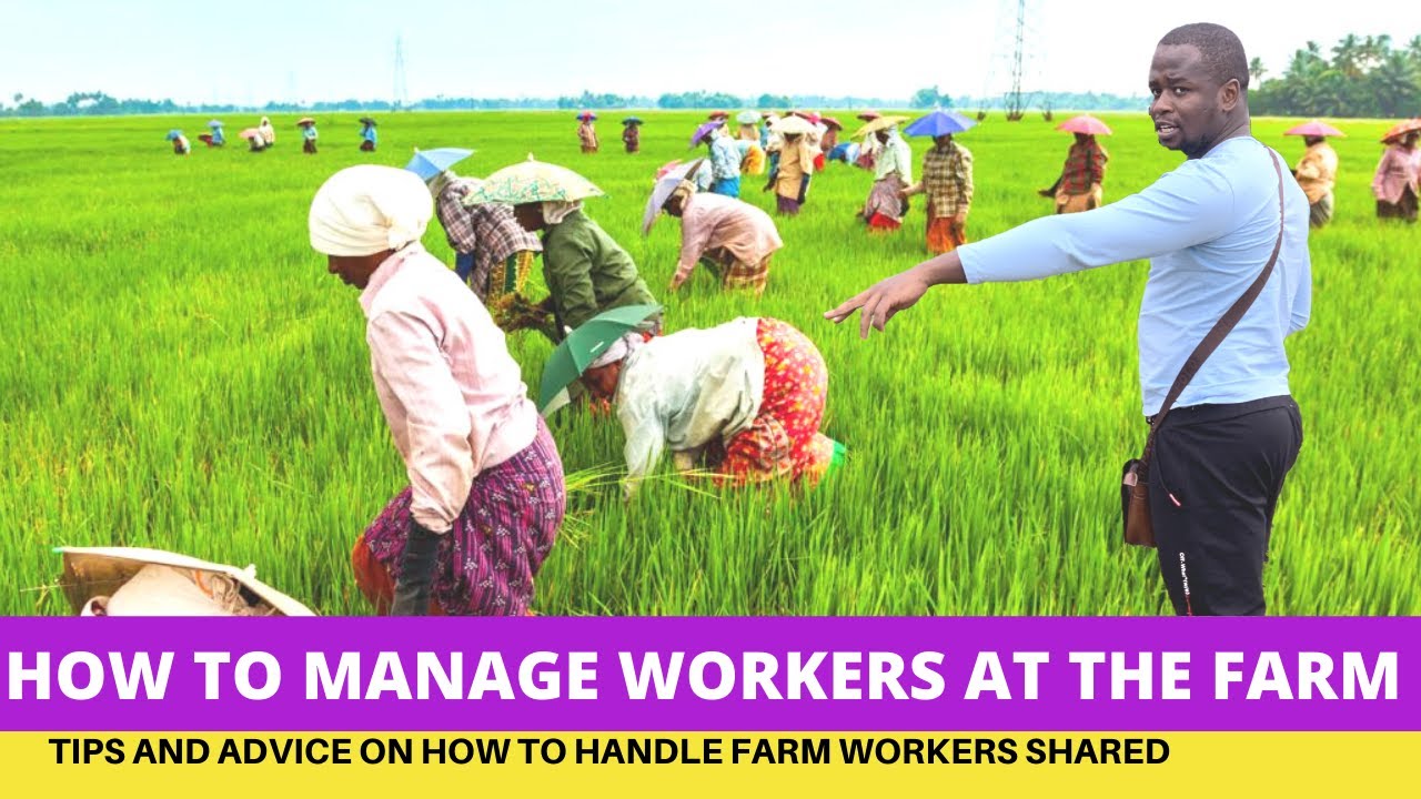 HOW to MANAGE Workers At The FARM - TIPS For Every Farmer - YouTube