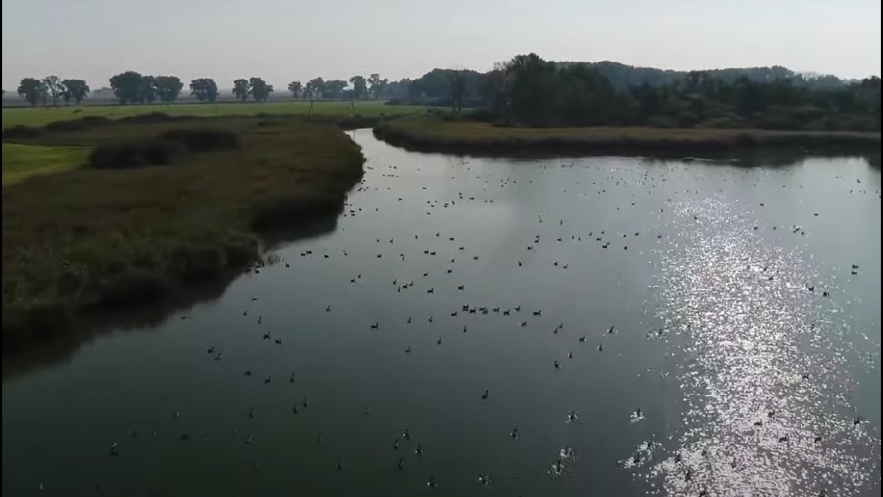 Jezioro Szarlej - 19.09.2021 r. - YouTube