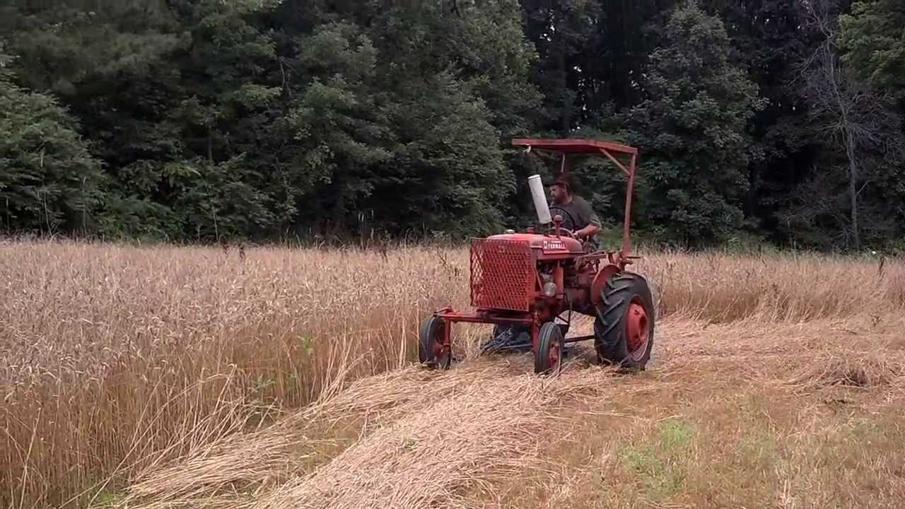 Cutting Wheat with Sickle Mower - YouTube