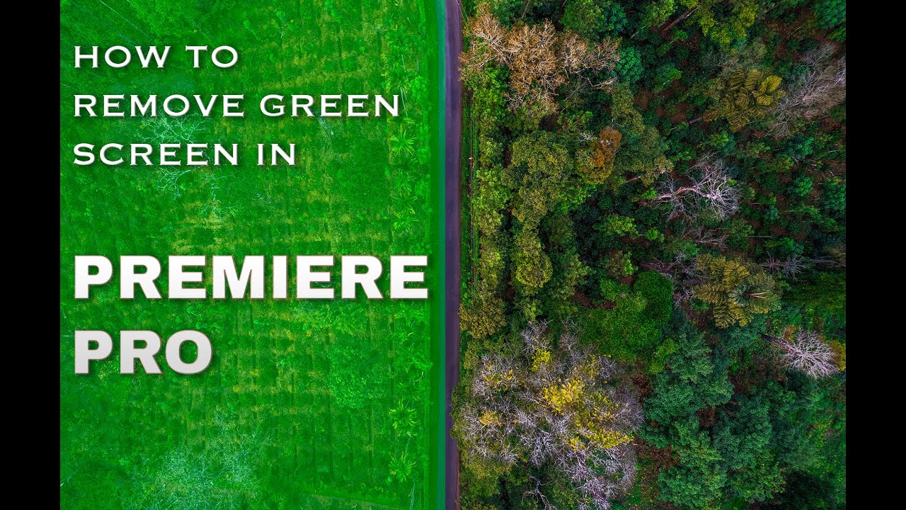 How to Remove Green Screen from a Video in Premiere Pro - YouTube