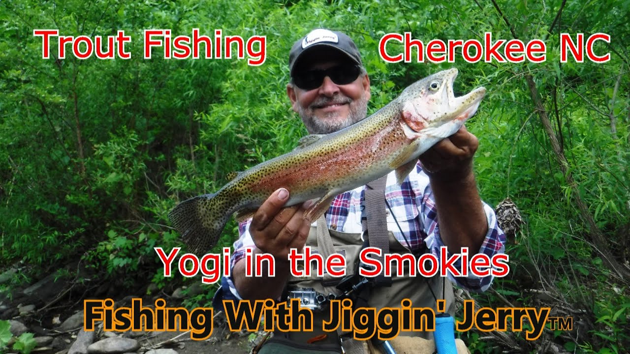 Trout Fishing & Camping at Yogi in the Smokies, Cherokee, NC - YouTube