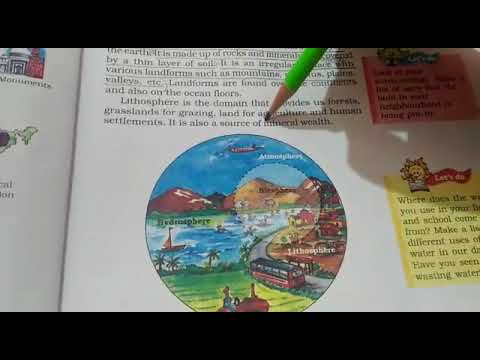 Environment | Introduction to the Environment chapter| Geography ...