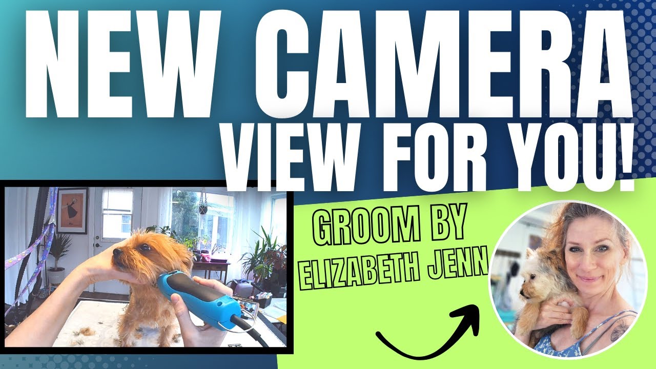 Yorkie Dog Grooming (Dog Grooming video with NEW camera) FULL GROOM ...