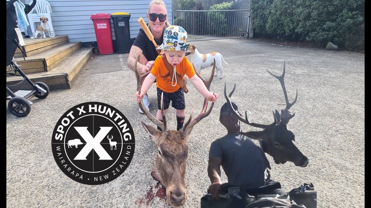WE FOUND HIM!!!! - Stag Recovery - Spot X Hunting New Zealand - YouTube