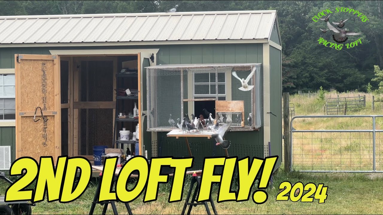 2nd loft fly - YouTube