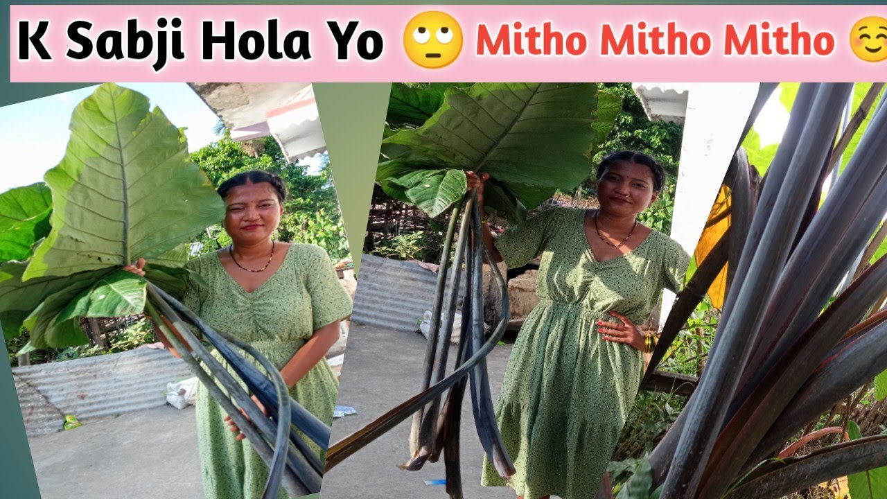 Maan Kachu😋//Khanu Vaaxa Ki Nai 🤗 Vegetable recipe ☺️@LaxDip123 vlog ️ ...