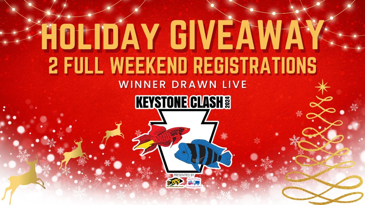Holiday Registration Giveaway - YouTube