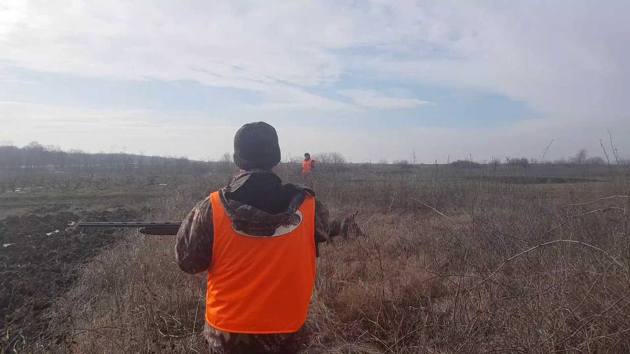 Hunting Trips in Romania +40744348950 - YouTube