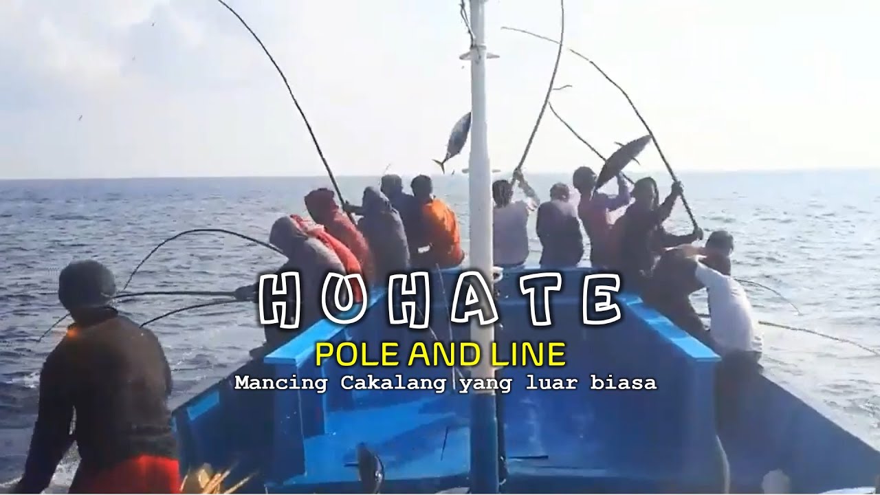Mancing Cakalang yang luar biasa - Kapal Penangkap ikan Huhate/Pole and ...