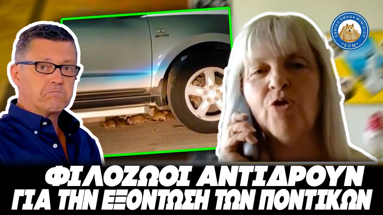 ΕΙΝΑΙ ΠΑΛΑΒΟΙ ΟΙ ΑΝΘΡΩΠΟΙ! - «Φιλόζωοι» αντιδρούν στην εξόντωση των ...